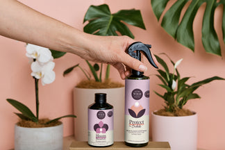 Orchid Care Kit | Orchid Protect Spray & Plant Food – We The Wild Plant ...