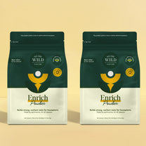 Enrich Powder | Organic Slow Release Plant Food for Indoor Plants – We ...