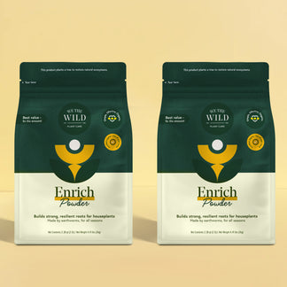 Enrich Powder | Organic Slow Release Plant Food for Indoor Plants – We ...