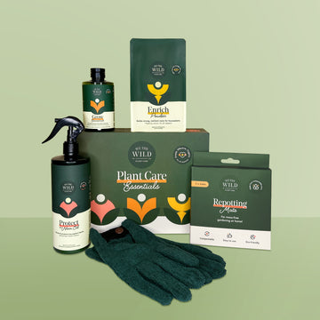 Organic Plant Food and Plant Sprays For Houseplants – We The Wild Plant ...