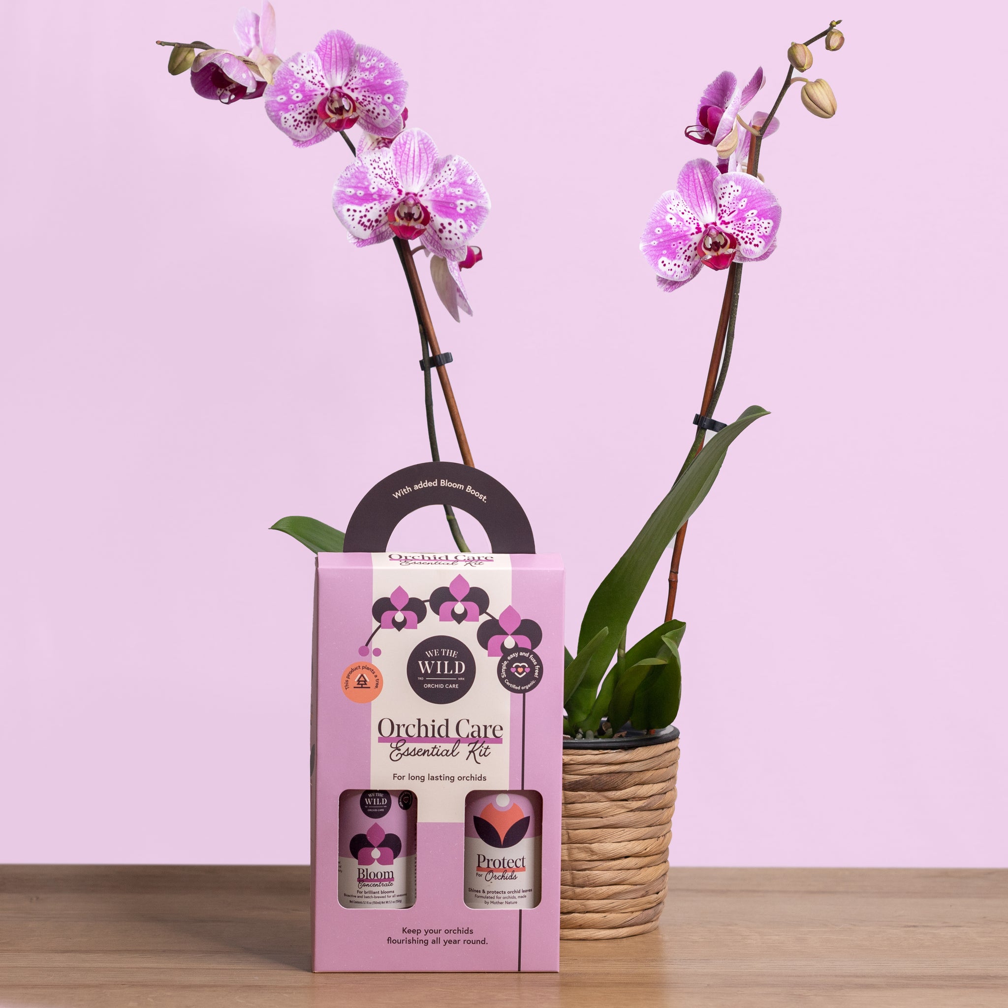 Orchid Care Kit | Orchid Protect Spray & Plant Food – We The Wild Plant ...