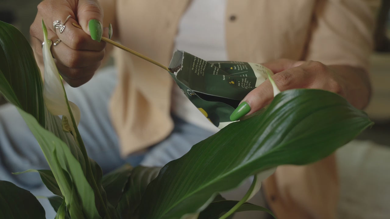 Enrich Powder | Organic Slow Release Plant Food for Indoor Plants – We ...