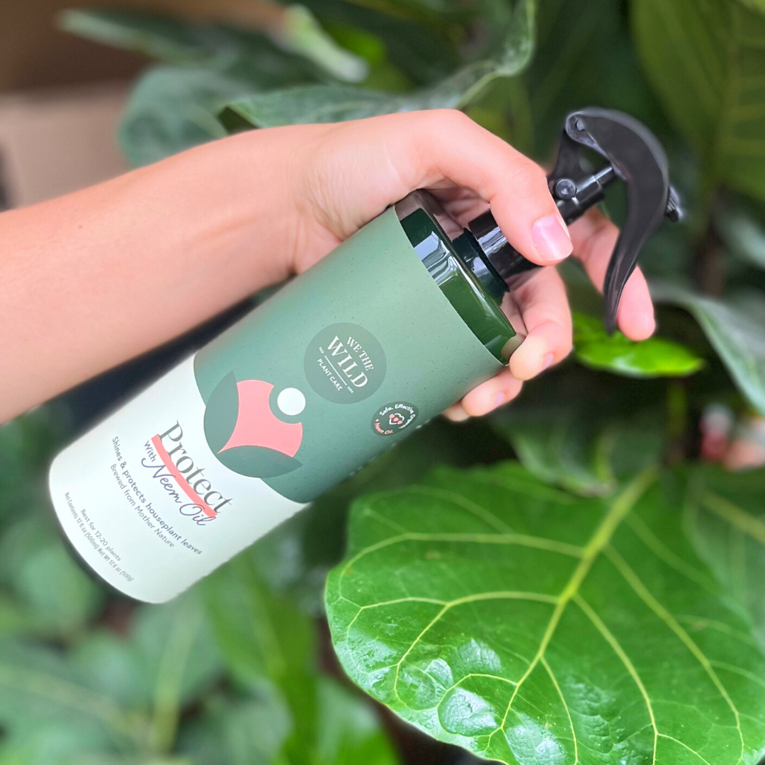 Protect Spray | Plant Spray with Neem Oil – We The Wild Plant Care USA