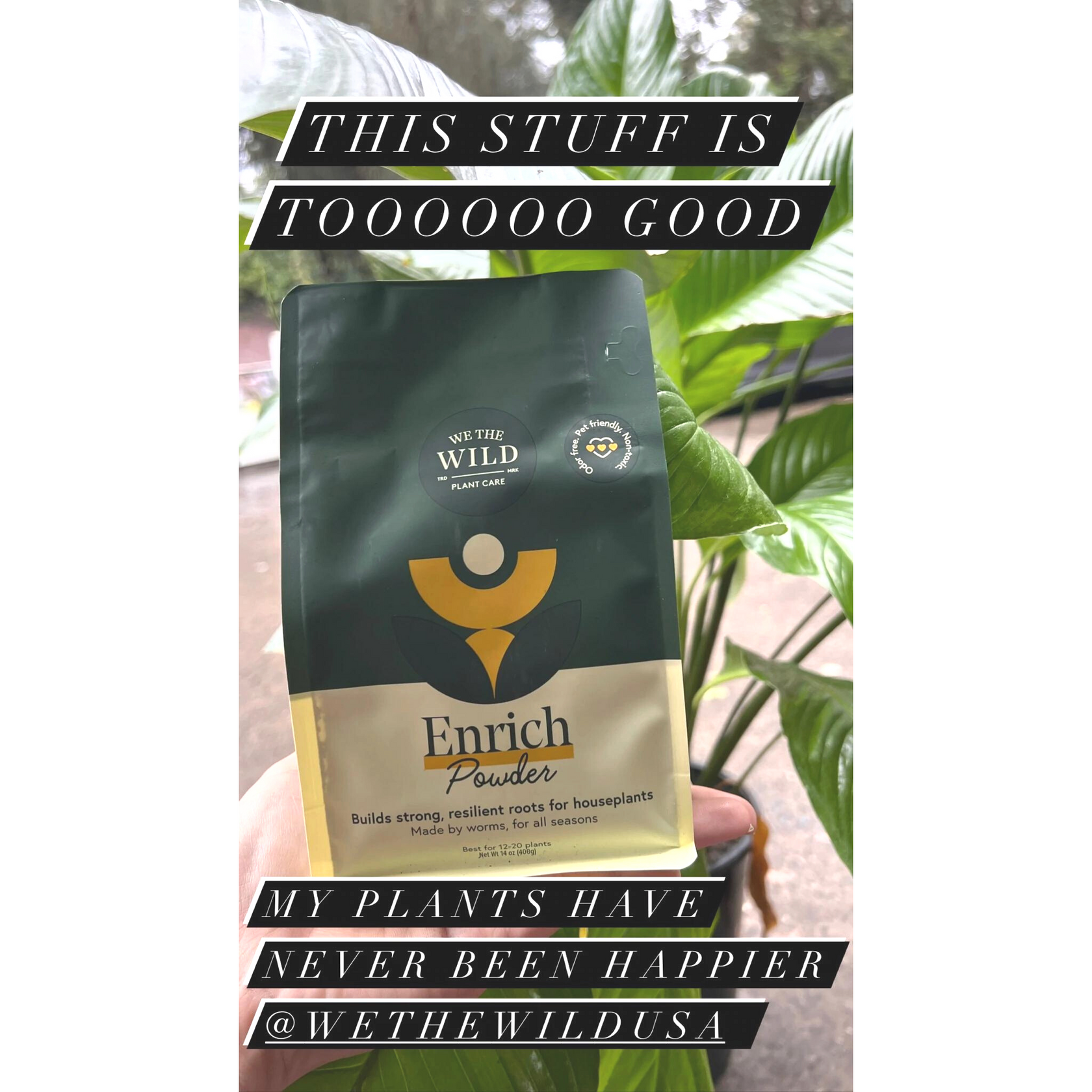 Enrich Powder | Organic Slow Release Plant Food for Indoor Plants – We ...